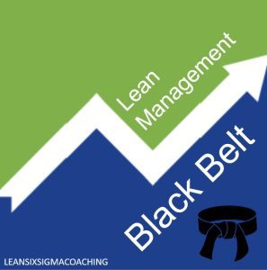 Black Belt Lean Management